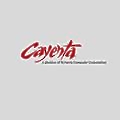 Cayenta CEO and Key Executive Team | Craft.co