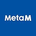 MetaM CEO and Key Executive Team | Craft.co
