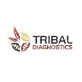 Tribal Diagnostics CEO and Key Executive Team | Craft.co