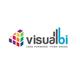 Visual BI Solutions CEO and Key Executive Team | Craft.co