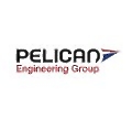 Pelican Engineering CEO and Key Executive Team | Craft.co